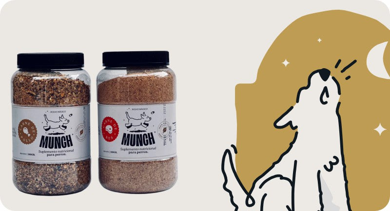 COMBOS Y SNACKS – Munch Dog